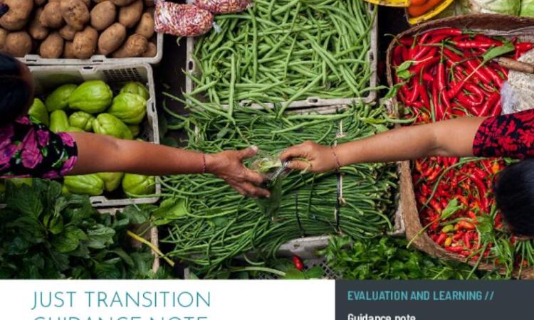 Just Transition Guidance Note: Integrating Objectives in CIF Projects ... Just Transition Guidance Note: Integrating Objectives in CIF Projects ...